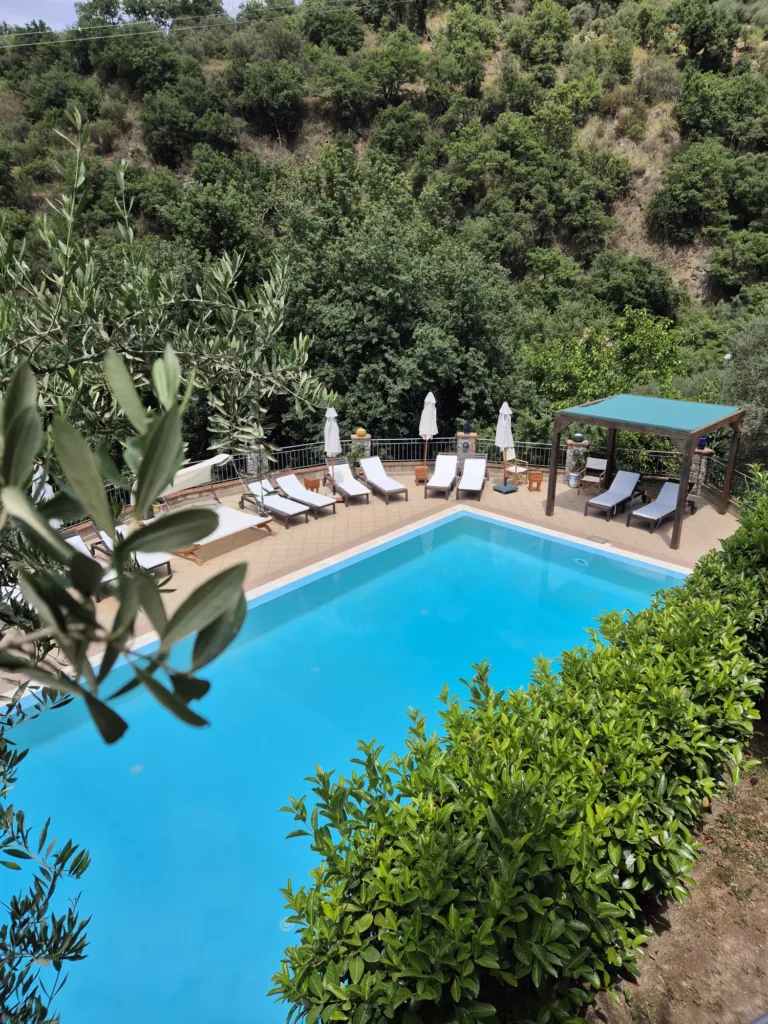 Servizi e attività - Borgo San Francesco
